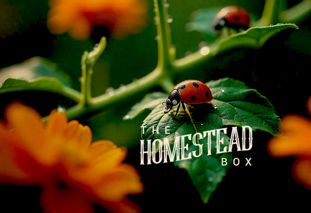 Get the Good 'ole Bugs in Yer Garden, easy! – The Homestead Box